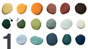 Simply Colour by Shaves | Shaves Paint and Decor